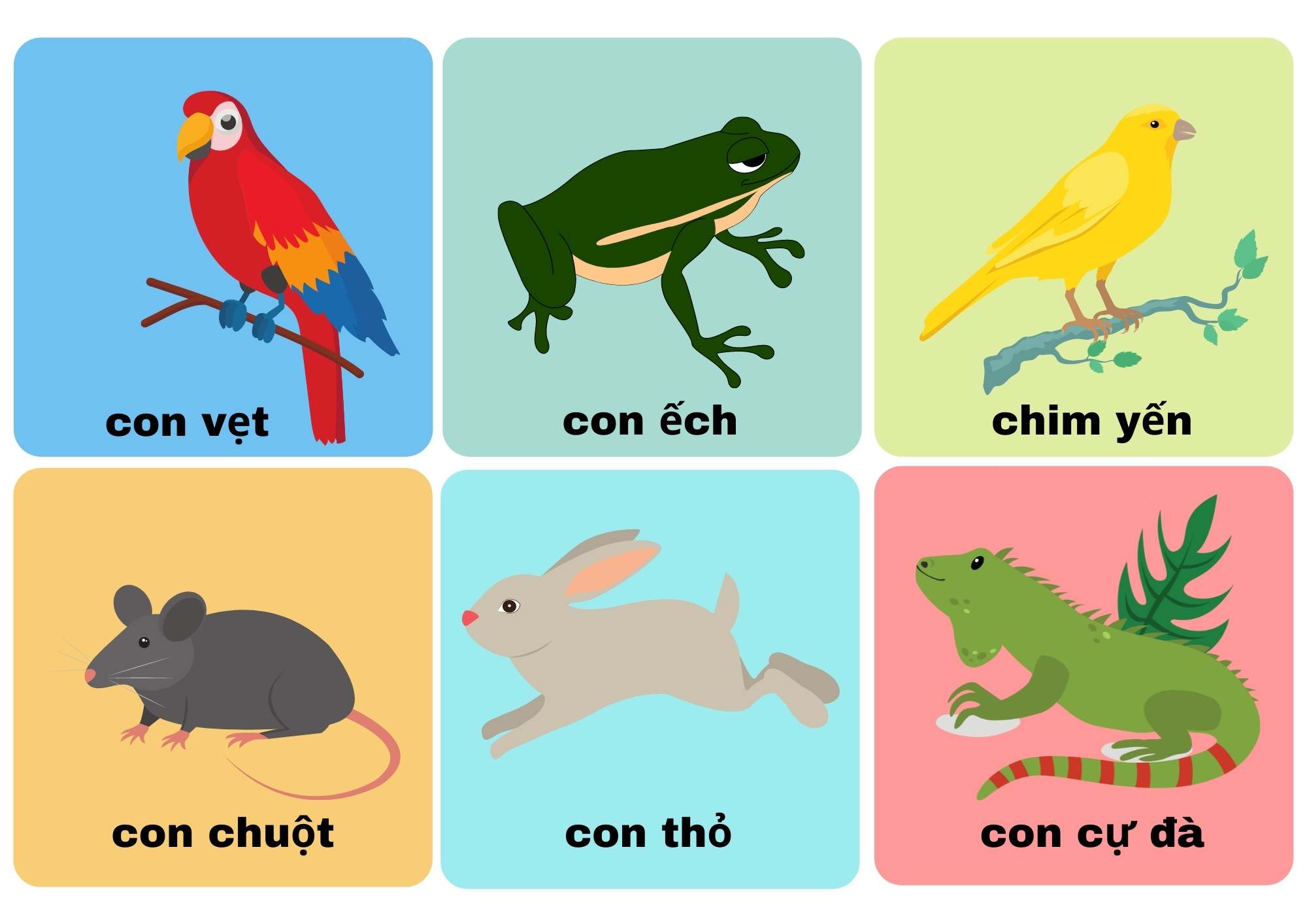 Pets - Ezpzlearn.com